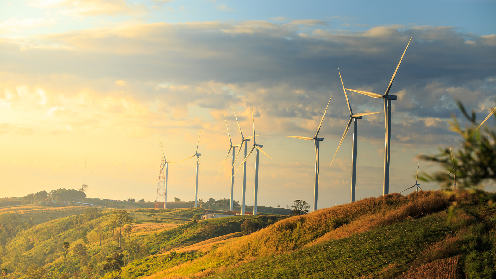 TGRC Limited t/a The Green Recruitment · Green Recruitment Company